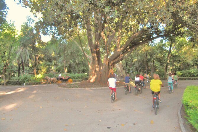 Electric Bike Rental 3 hours - The Real Experience: What Travelers Say