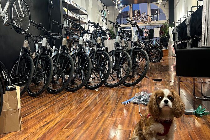 Electric Bike Rental in Santa Barbara - Why Choose This Bike Rental?