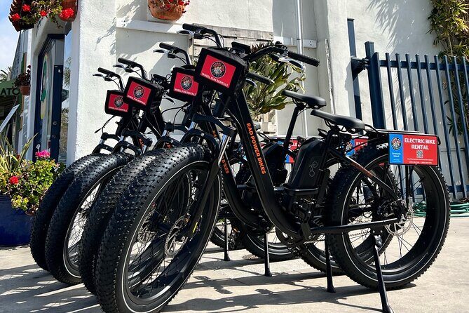 Electric Bike Rental on Coronado Island - An In-Depth Look at the Electric Bike Rental Experience