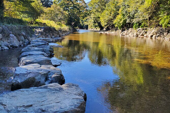 Electric Bike Rental or Tuktuk Tour in Ise - Final thoughts