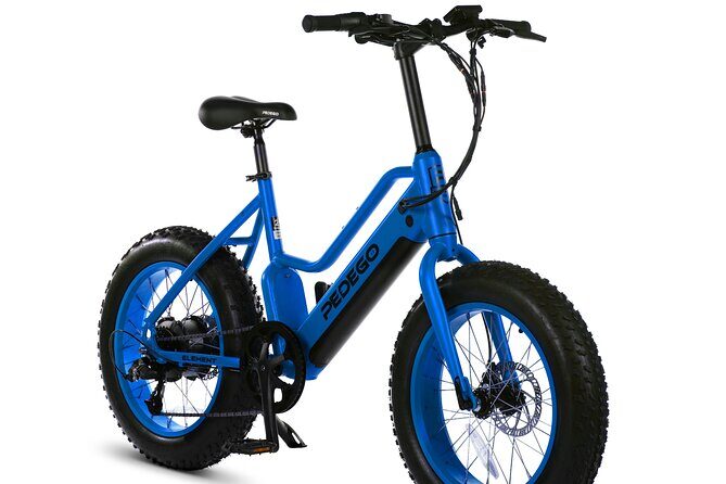 Electric Bike Rentals - Who Will Love This Experience?