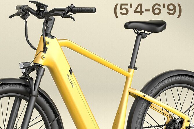 Electric Bike Rentals in The Villages Florida - What the Reviews Say
