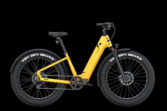 Electric Bike Rentals in The Villages Florida - Who Should Consider This Bike Rental?