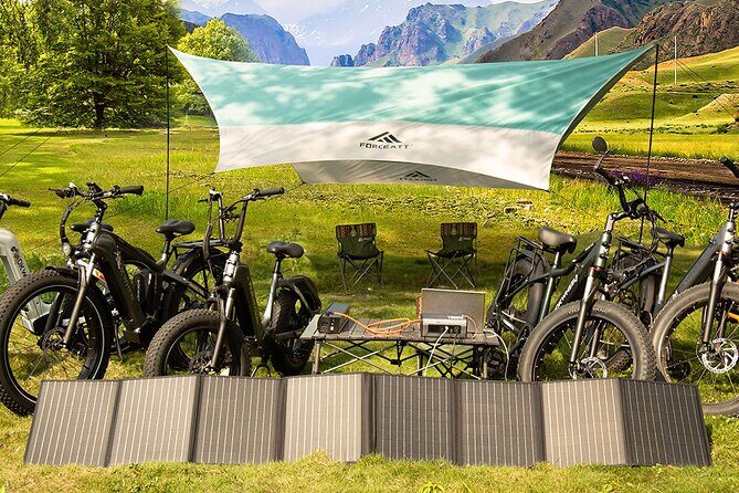 Electric Bike Rentals with Delivery - Why Choose Electric Bike Rentals on the Big Island?