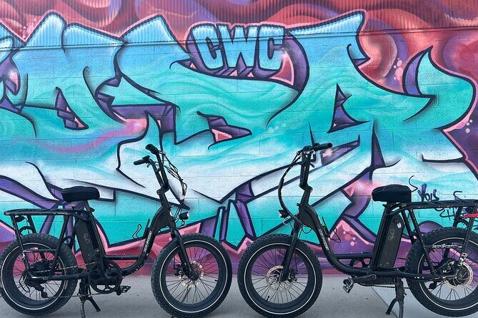 Electric Bike Rentals with Free E-Bike Delivery - Why Choose an Electric Bike in Asheville?