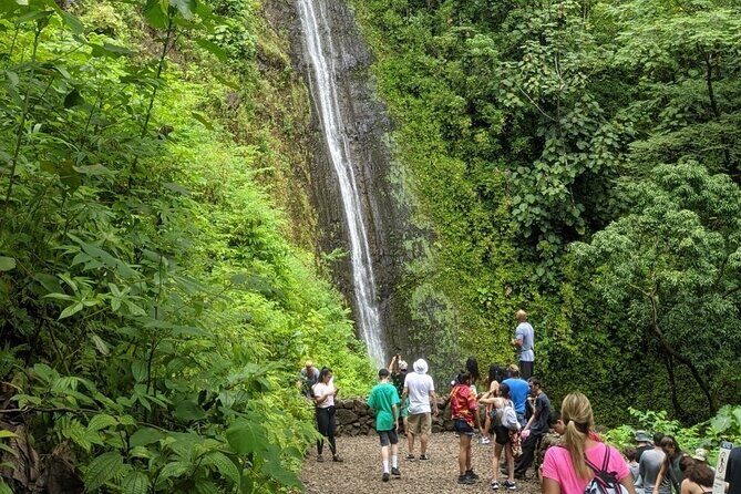 Electric Bike Ride & Manoa Falls Hike Tour - Back to Waikiki: Scenic Descent and University Stop