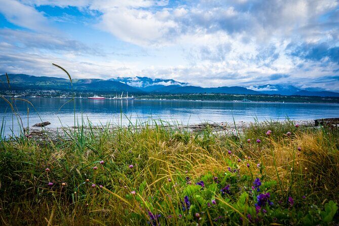 Electric Bike Ride on the Olympic Discovery Trail - Why Choose This Tour?