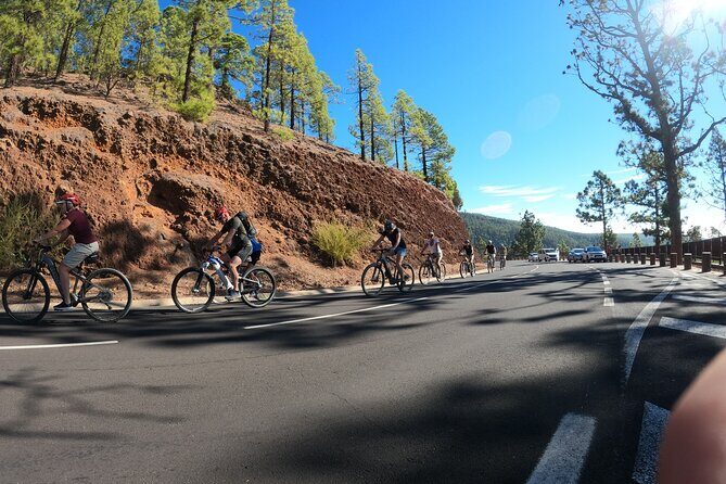 Electric Bike Teide Volcano Guided Tour - Who Should Consider This Tour?