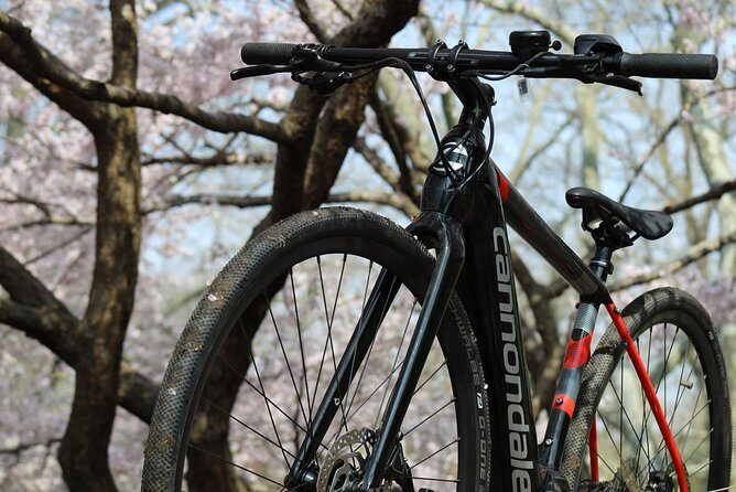 Electric Bike Tour of Manhattan and the Waterfront Greenway - Tips for a Great Experience