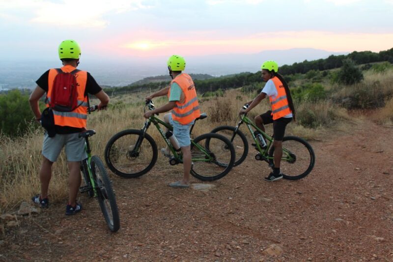Electric Bike Tour with 2 Options to Explore Granada - The Guide Experience and Group Atmosphere