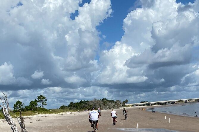 Electric Bike Tours in Amelia Island - What Travelers Are Saying