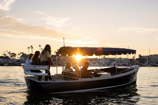 Electric Boat Rental Adventure in Newport Beach (up to 12 ppl) - Who Will Love This Experience