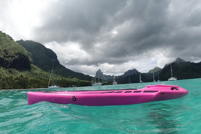 Electric bodyboard rental in Moorea-Maiao - Practical Tips for Visitors