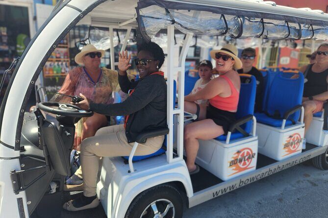 Electric Bus tour of Nassau with sampling of local food & drinks - Key Points