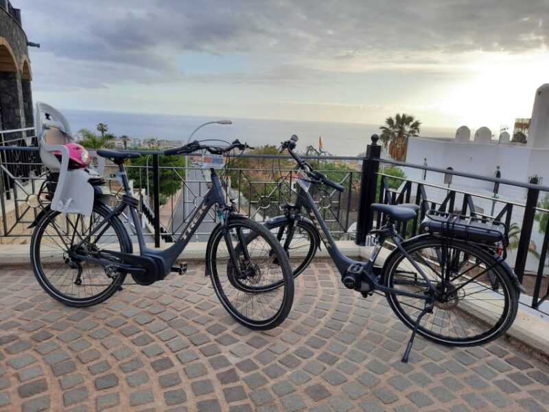 Electric City Bike Rental with Hotel Delivery - Key Points