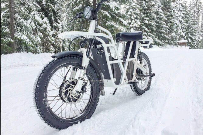 Electric Dirtbike Adventure in Lake Tahoe - Who Will Love This Adventure?