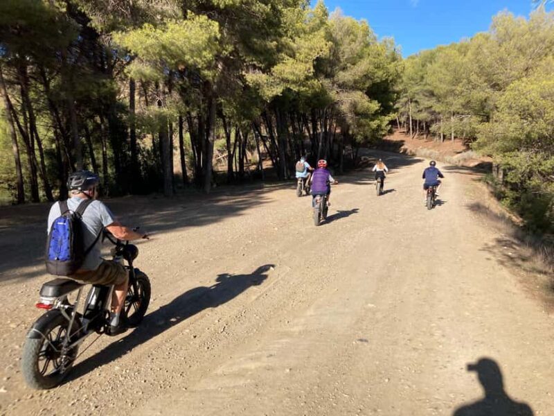 Electric FAT Biking in Montes de Malaga & Countryside - Who Should Consider This Tour?