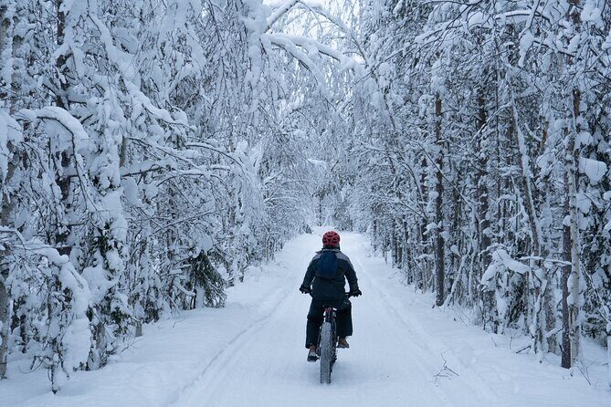 Electric Fatbike Tour in Winter - Exploring Rovaniemi by Electric Fatbike: What to Expect