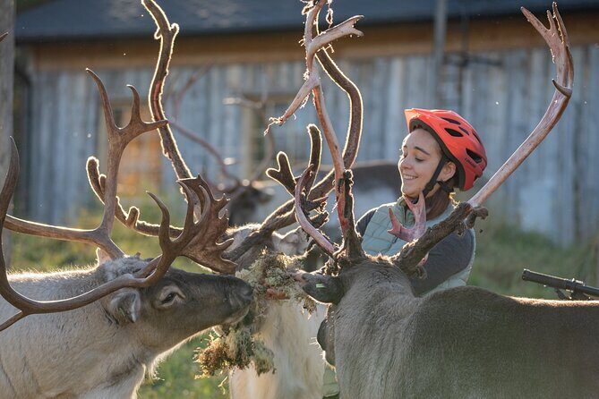 Electric Fatbike Trip to the Reindeer Farm - Exploring Lapland on Electric Fatbikes
