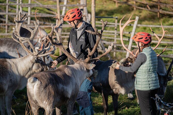 Electric Fatbike Trip to the Reindeer Farm - FAQ