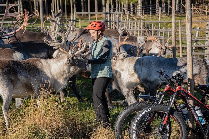 Electric Fatbike Trip to the Reindeer Farm - Final Words