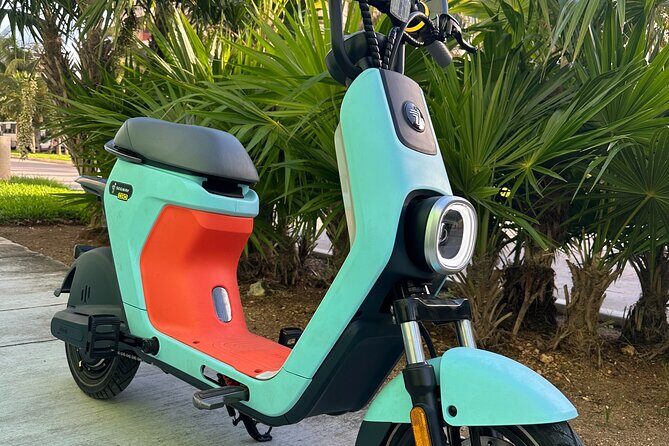 Electric Moped Tour Cancun - Cancuns Scenic Route #1 Tour 1.5hr - Analyzing the Value