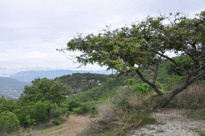 Electric Mountain bike in Oaxaca - Who Will Love This Tour?