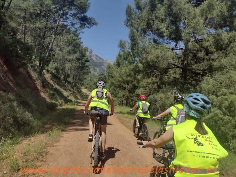 Electric mountain bike in Sierra de las Nieves national park - Who Should Consider This Tour?