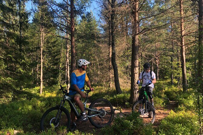 Electric Mountain Bike Rental in Oslo - A Deep Dive: What to Expect from Your E-Bike Experience
