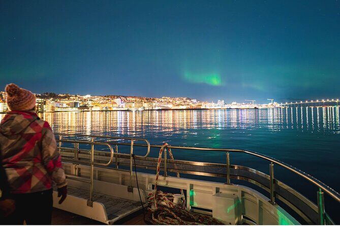 Electric Northern Lights Cruise - Final Thoughts: Who Will Love This Tour?