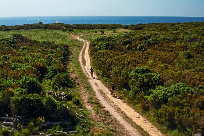 Electric Off-Road Scooter Tour in Pula - The Bottom Line: Who Should Consider This Tour?