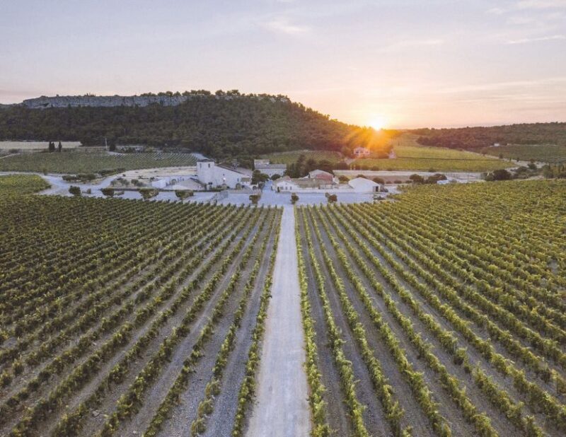 Electric Scooter Tour of our vineyard and Wine Tasting - An Exciting Way to Discover Occitanie’s Vineyards