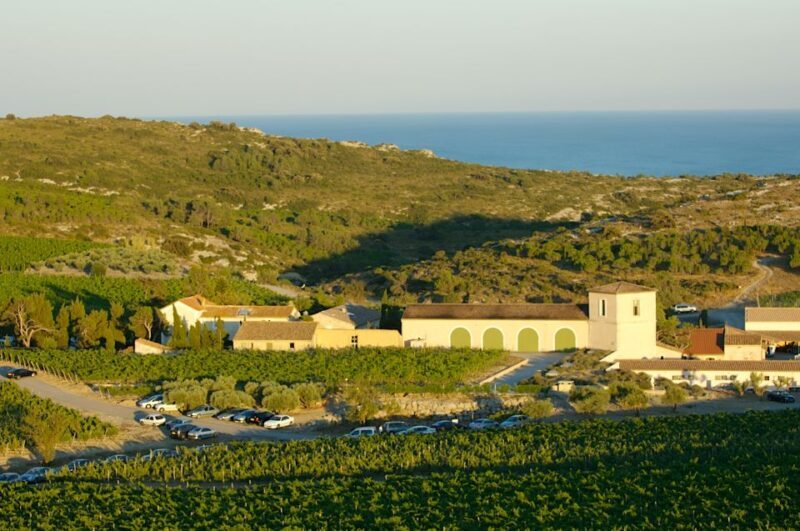 Electric Scooter Tour of our vineyard and Wine Tasting - Detailed Itinerary Breakdown