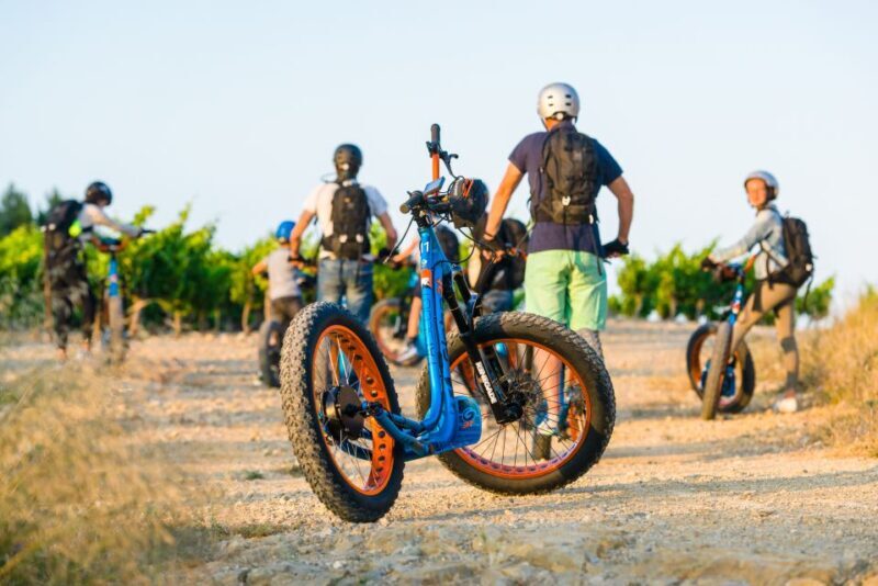 Electric Scooter Tour of our vineyard and Wine Tasting - Practical Tips for Participants