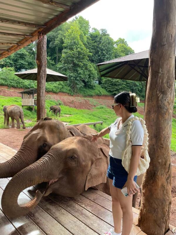 Elefin Farm & Cafe Half-day tour with Private Car - Exploring the Elefin Farm & Cafe Tour