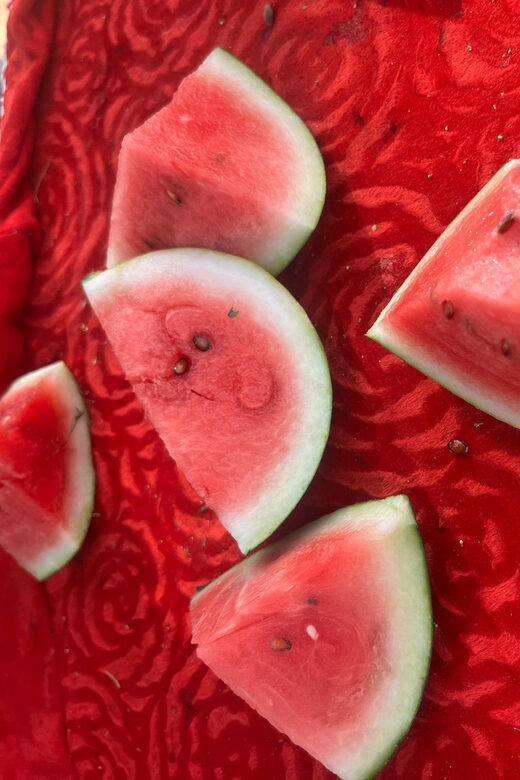 Elefun Best Elephant Sanctuary in Jaipur - What to Expect at Elefun Elephant Sanctuary