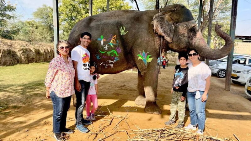 Elefun Best Elephant Sanctuary in Jaipur - The Sum Up