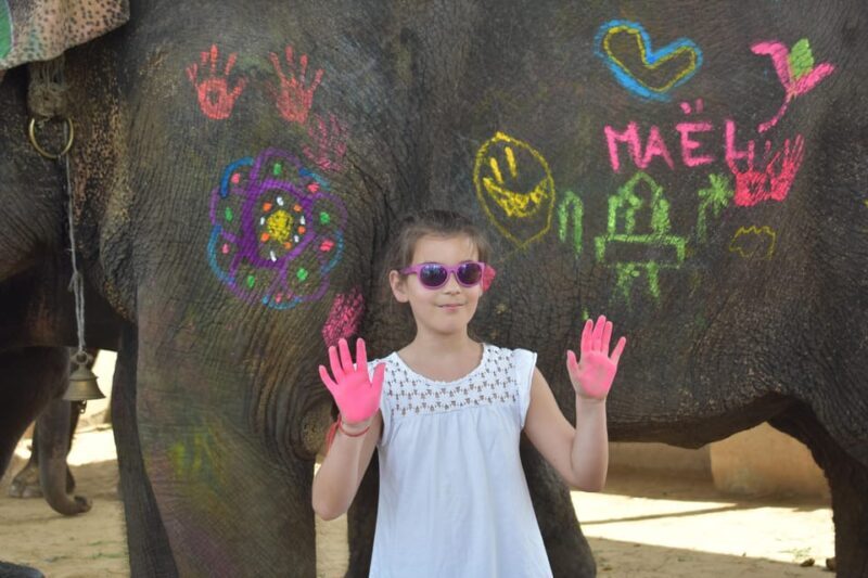 Elefun Best Elephant Sanctuary in Jaipur - FAQs