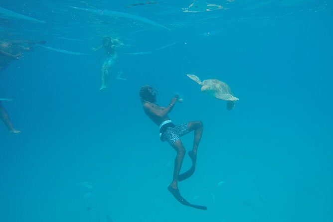 Elegance Catamaran turtles swim and lunch cruise - Final Word