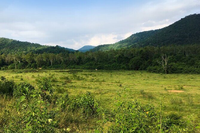 Elephant and Animal Watching in Kuiburi National Park - Join Afternoon Tour - The Value of This Tour