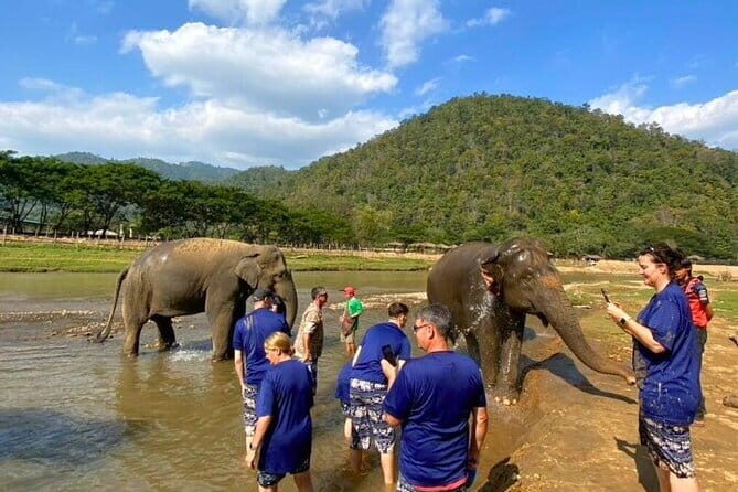 Elephant Care and Sticky Waterfalls (Bua Thong Waterfalls) Tour - The Itinerary: A Day in Chiang Mai’s Natural and Wildlife Wonders