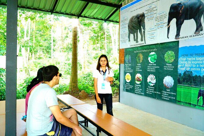 Elephant Care Experience - Authentic Encounters and Ethical Considerations