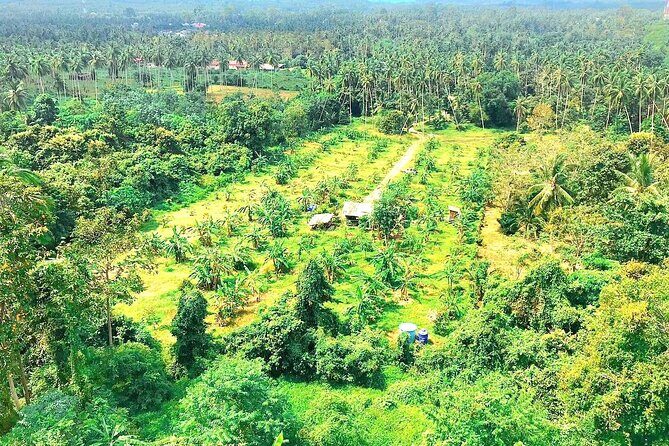 Elephant Care Experience - FAQs