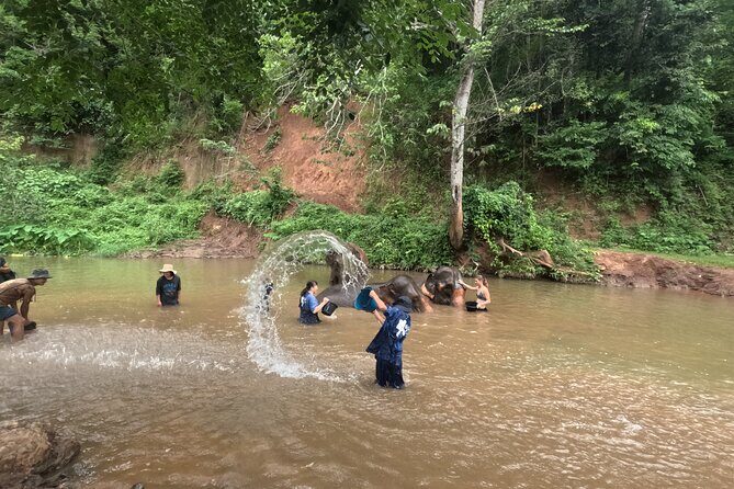 Elephant care program at Chiangmai Elephant Care - Who Will Appreciate This Experience?