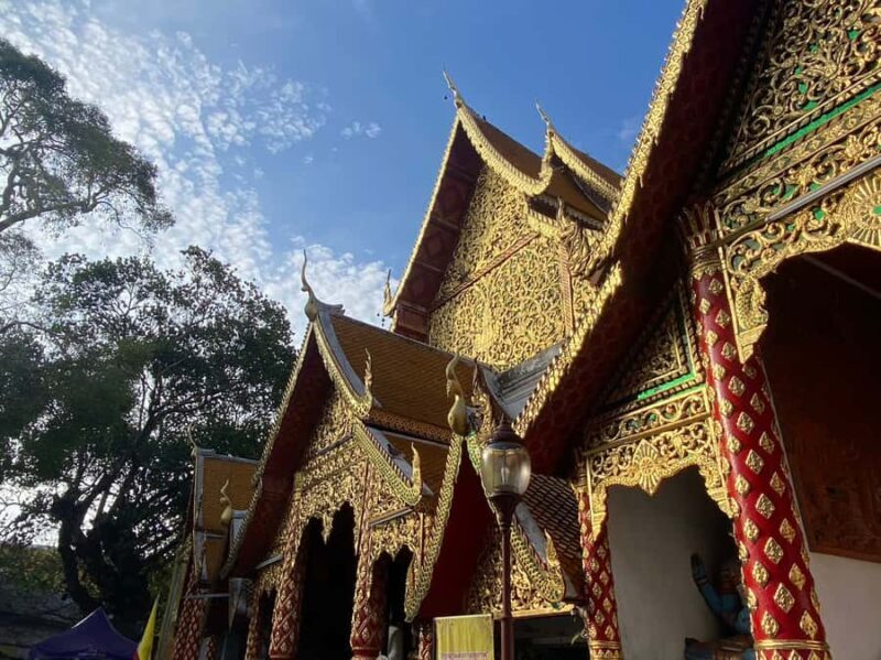 Elephant care with Wat Umong, Doi Suthep and Night City view - Who Will Love This Tour?