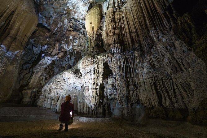 Elephant Cave and Ma Da Valley Jungle 1 Day Trek - What Makes This Tour Stand Out?