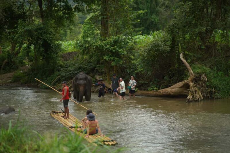 Elephant Eco Park Free Entry & ATV, Raft & Waterfall, Tribe - Key Points