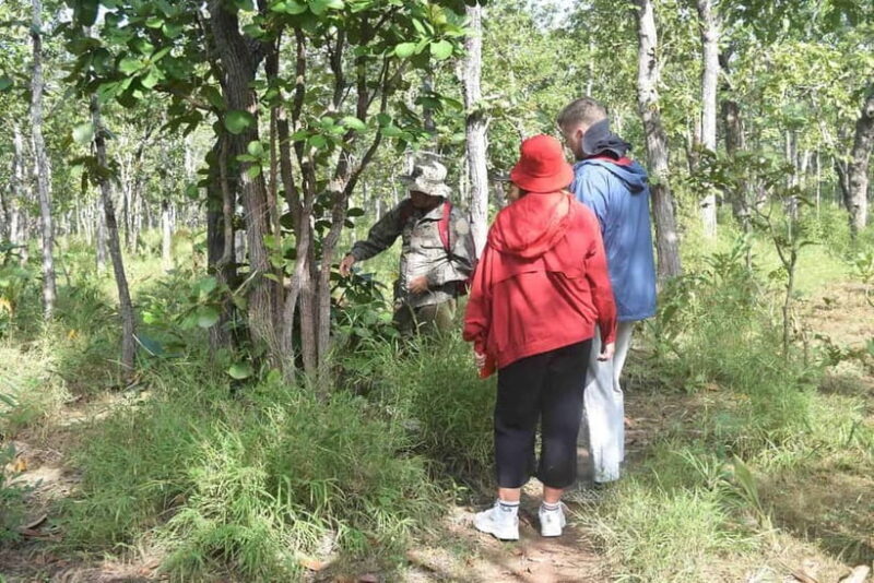 Elephant experience tour in Tay Nguyen - Key Points