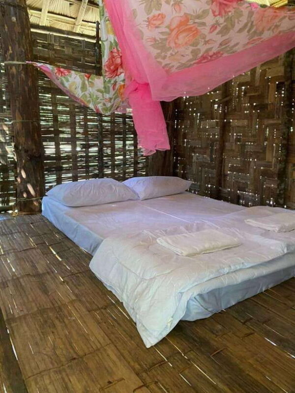 Elephant Home Sanctuary in Muang Thong Sayaboury Laos - FAQ