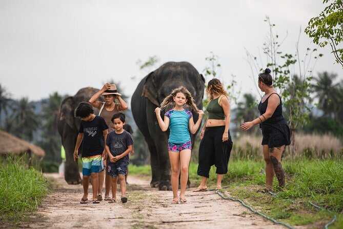 Elephant Jungle Sanctuary: Half Day Afternoon Program - Who will love this tour?